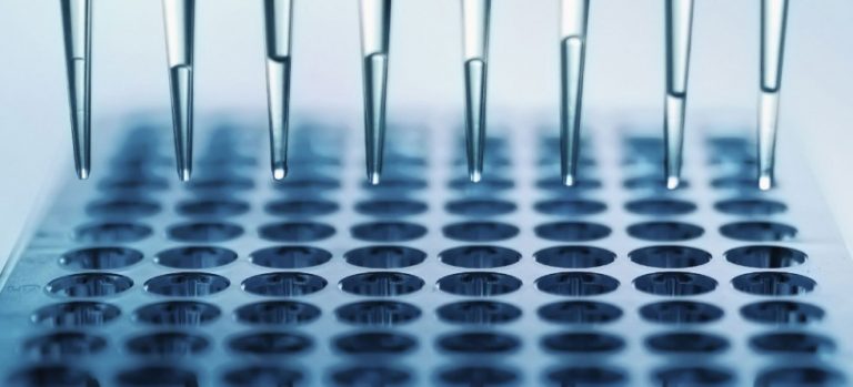 Integrated genetic solutions – Empire City Laboratories | Medical Lab ...