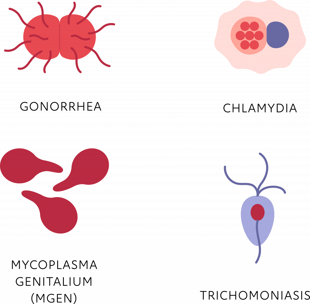 CT/GC/MP/TM Panel – Empire City Laboratories | Medical Lab Testing ...