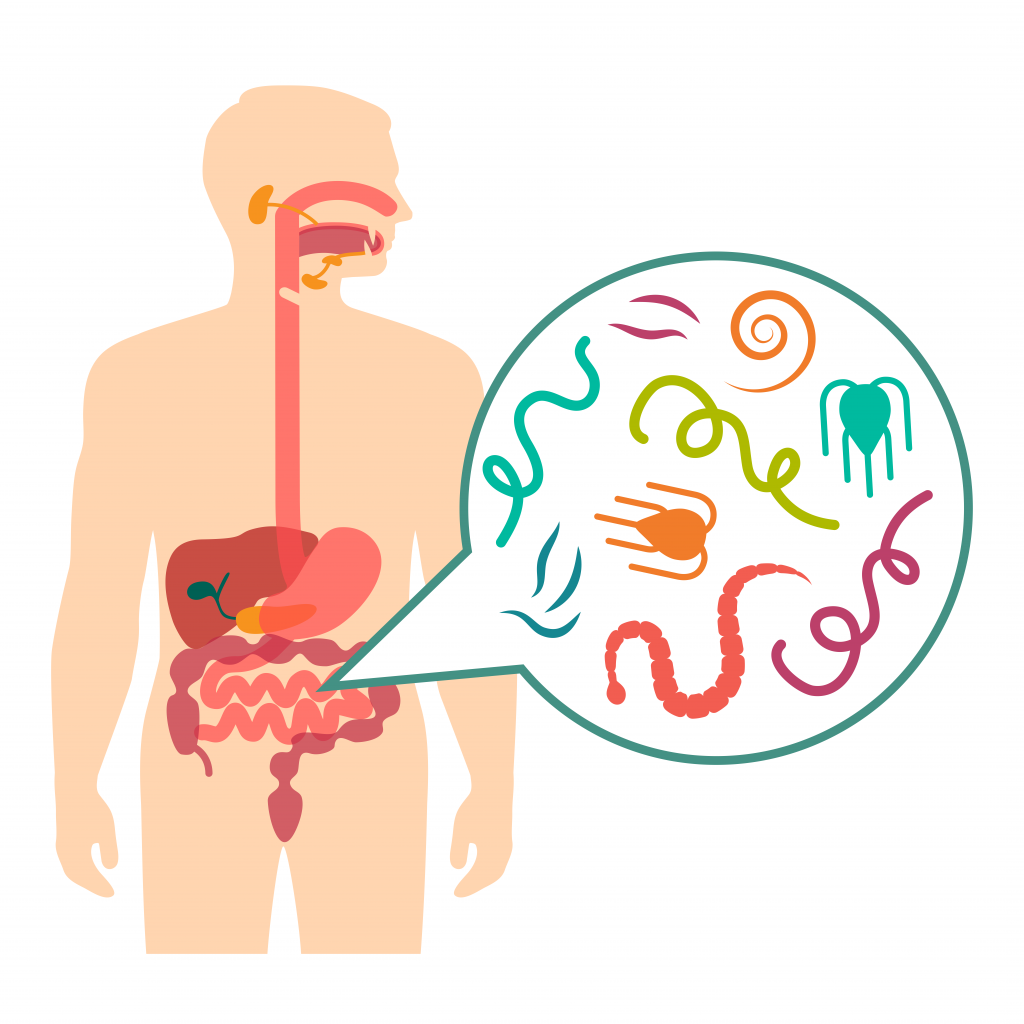 GI Pathogens – Empire City Laboratories | Medical Lab Testing ANTIBODY ...