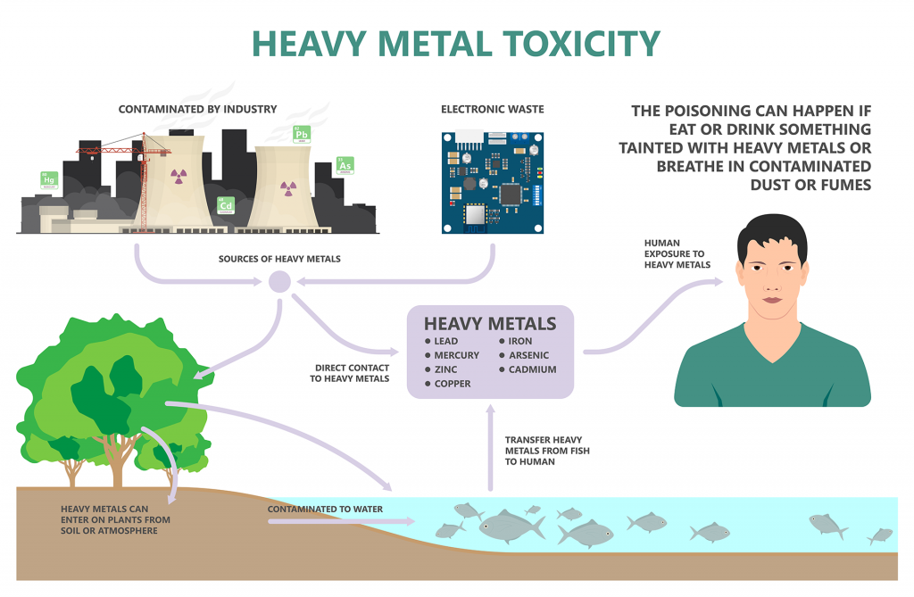 Heavy Metals Panel – Empire City Laboratories | Medical Lab Testing ...